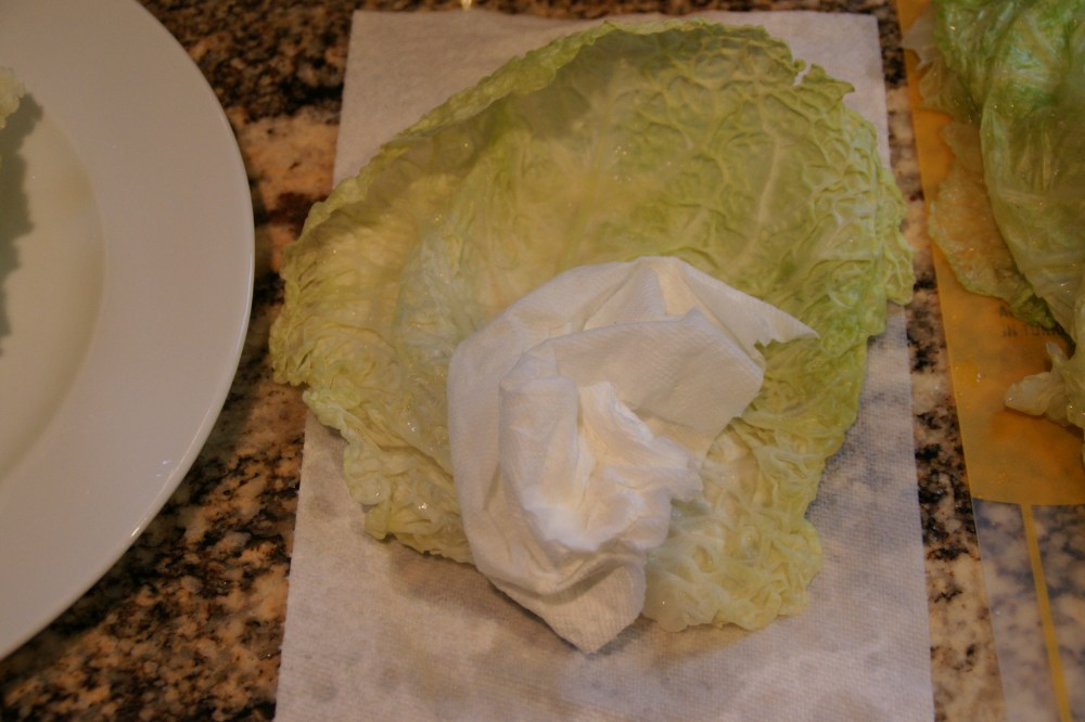 A New Week: International Day And Cabbage Rolls | a cougar in the kitchen