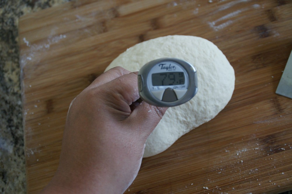 French Bread Part 2: Get Your Spray Bottle Ready! | a cougar in the kitchen